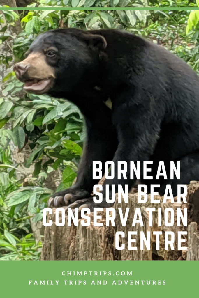 Bornean Sun Bear Conservation Centre - Chimptrips