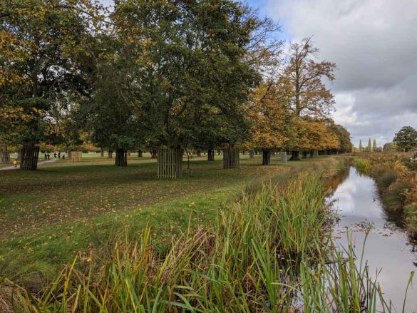 10 Best things to do at Bushy Park, London - Chimptrips