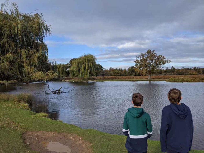 10 Best things to do at Bushy Park, London - Chimptrips