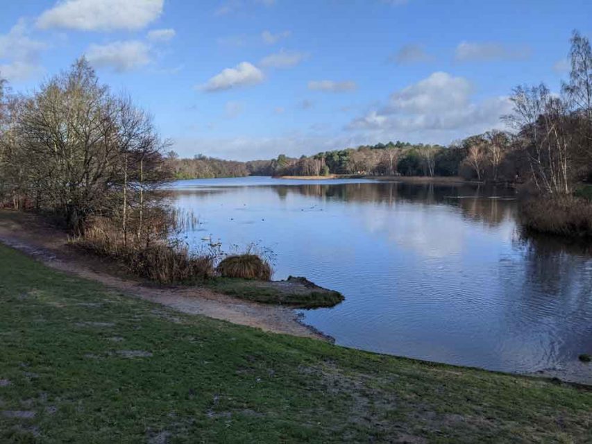 5 best walks in Windsor Great Park - Chimptrips