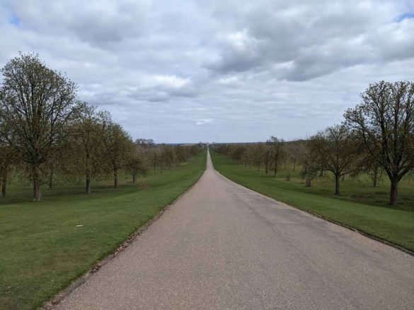 5 best walks in Windsor Great Park - Chimptrips