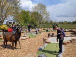 A visit to Dinton Pastures Country Park, Berkshire - Chimptrips