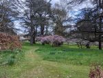 A family visit to Batsford Arboretum, Cotswolds - Chimptrips