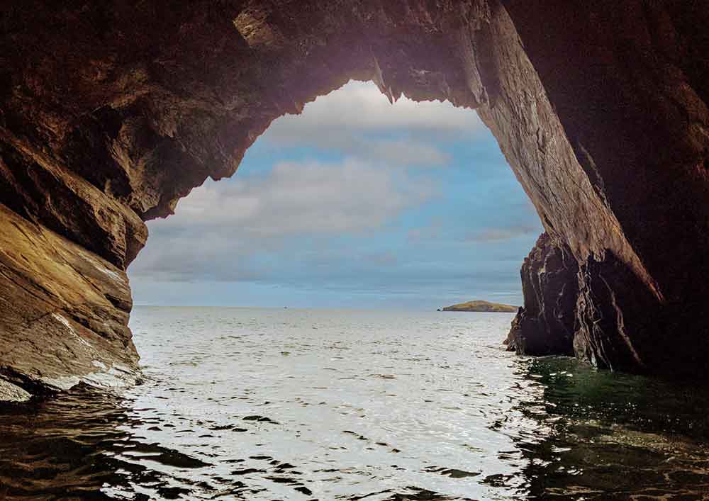 Dolphin watching in Cardigan Bay, West Wales - Chimptrips