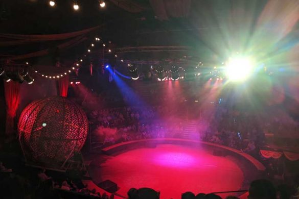 23+ magical Christmas events in Surrey for families 2024 - Chimptrips