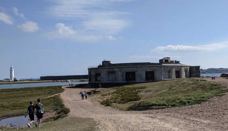 30 unmissable things to do in the New Forest - Chimptrips