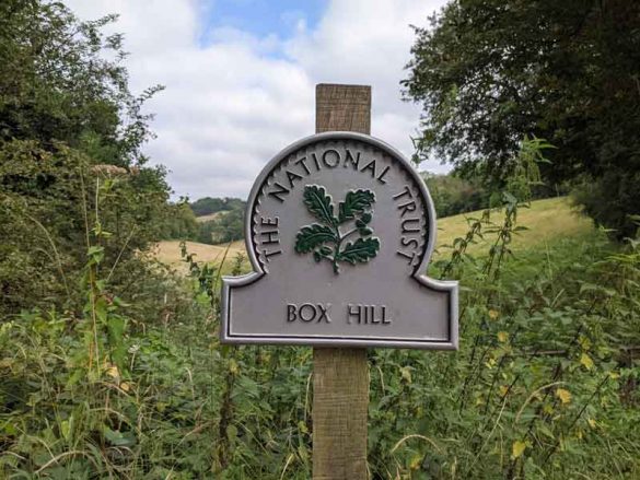 3 best family walks at Box Hill, Surrey - Chimptrips