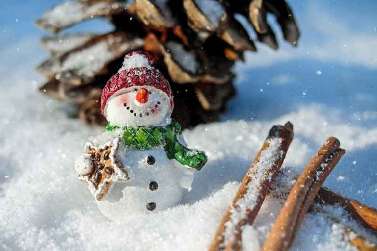 23+ magical Christmas events in Surrey for families 2025 - Chimptrips