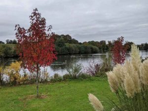 8 lovely reasons to visit Leeds Castle, Kent - Chimptrips