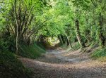 A circular walk on the Halnaker Windmill Trail - Chimptrips