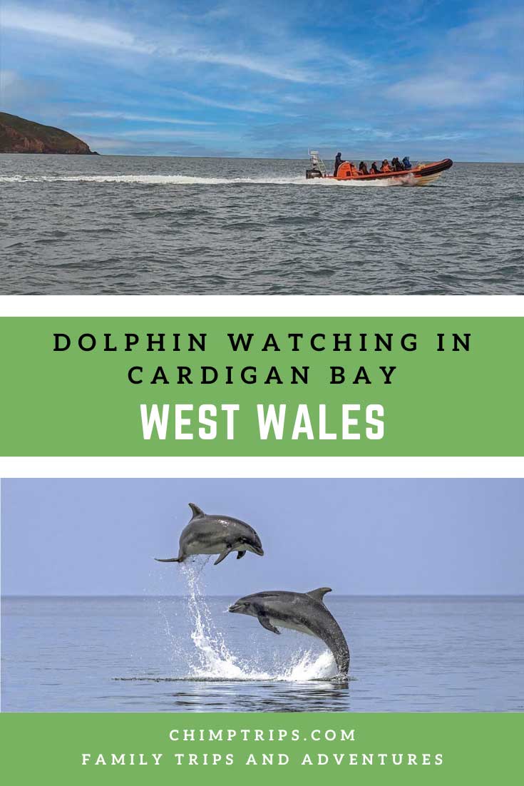 Dolphin watching in Cardigan Bay, West Wales - Chimptrips