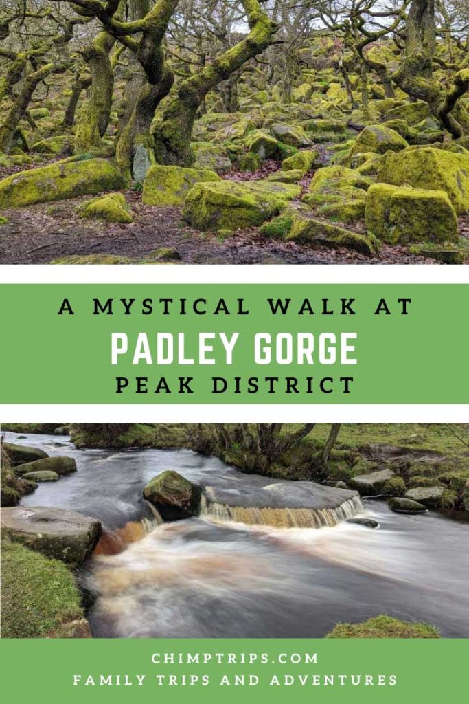 A walk to the mystical Padley Gorge in the Peak District - Chimptrips