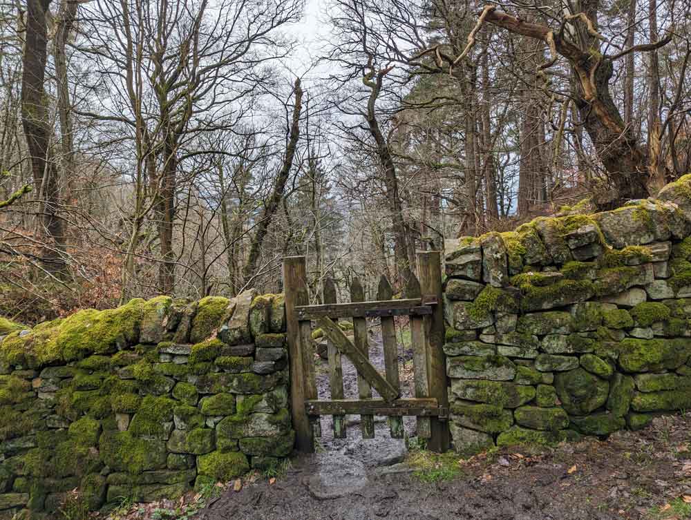 A walk to the mystical Padley Gorge in the Peak District - Chimptrips