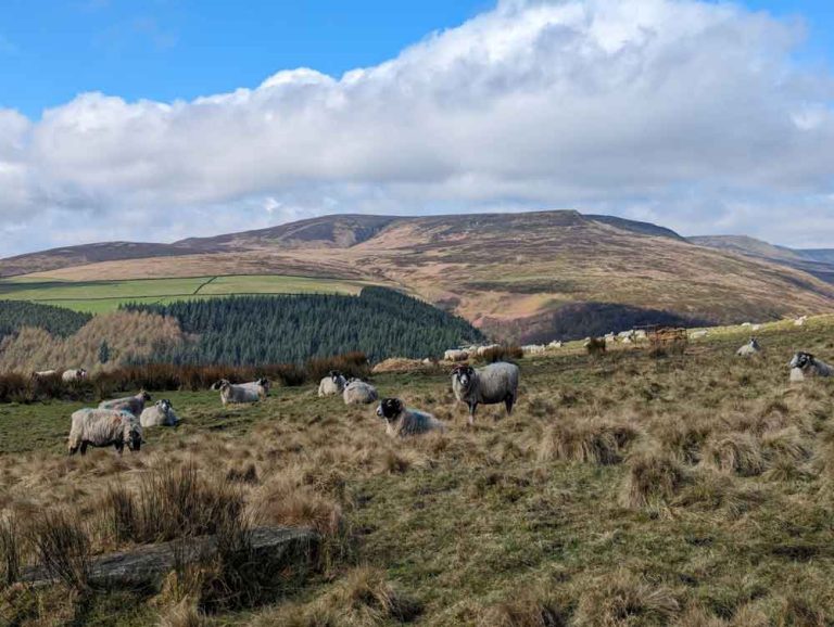 An exhilarating walk to Alport Castles, Derbyshire - Chimptrips