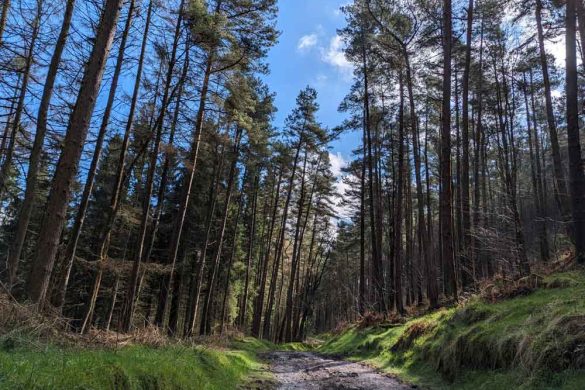 A guide to Derwent Dam, Derbyshire - Chimptrips